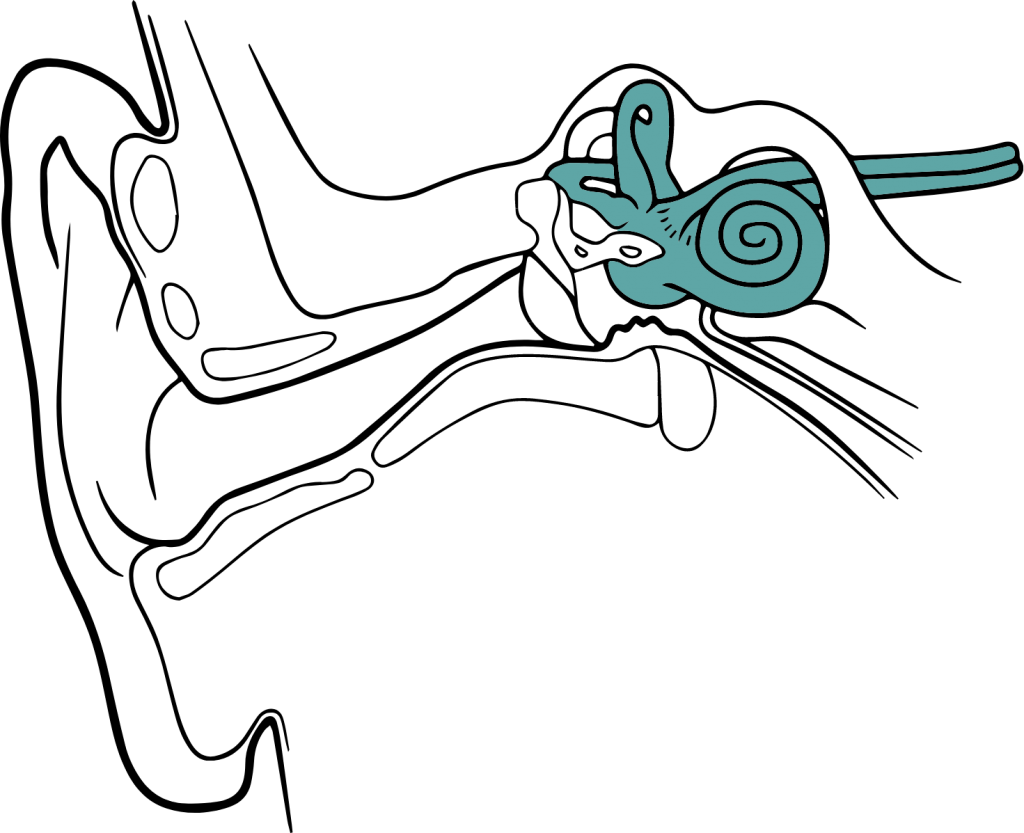 Qu’est-ce qu’un vertige ? Pourquoi ai-je la tête qui tourne